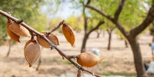 Flyg Sicilien mat & vin - Rolfs Flyg & Bussresor