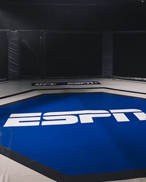 RotoWire DraftKings MMA Lineup Optimizer