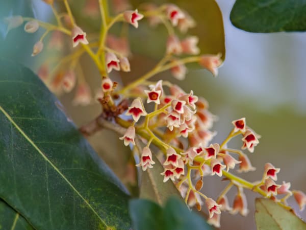 favorite_border share