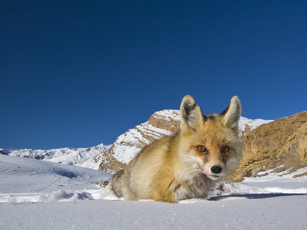 The Spiti Valley is a test of endurance for the most widely spread ...