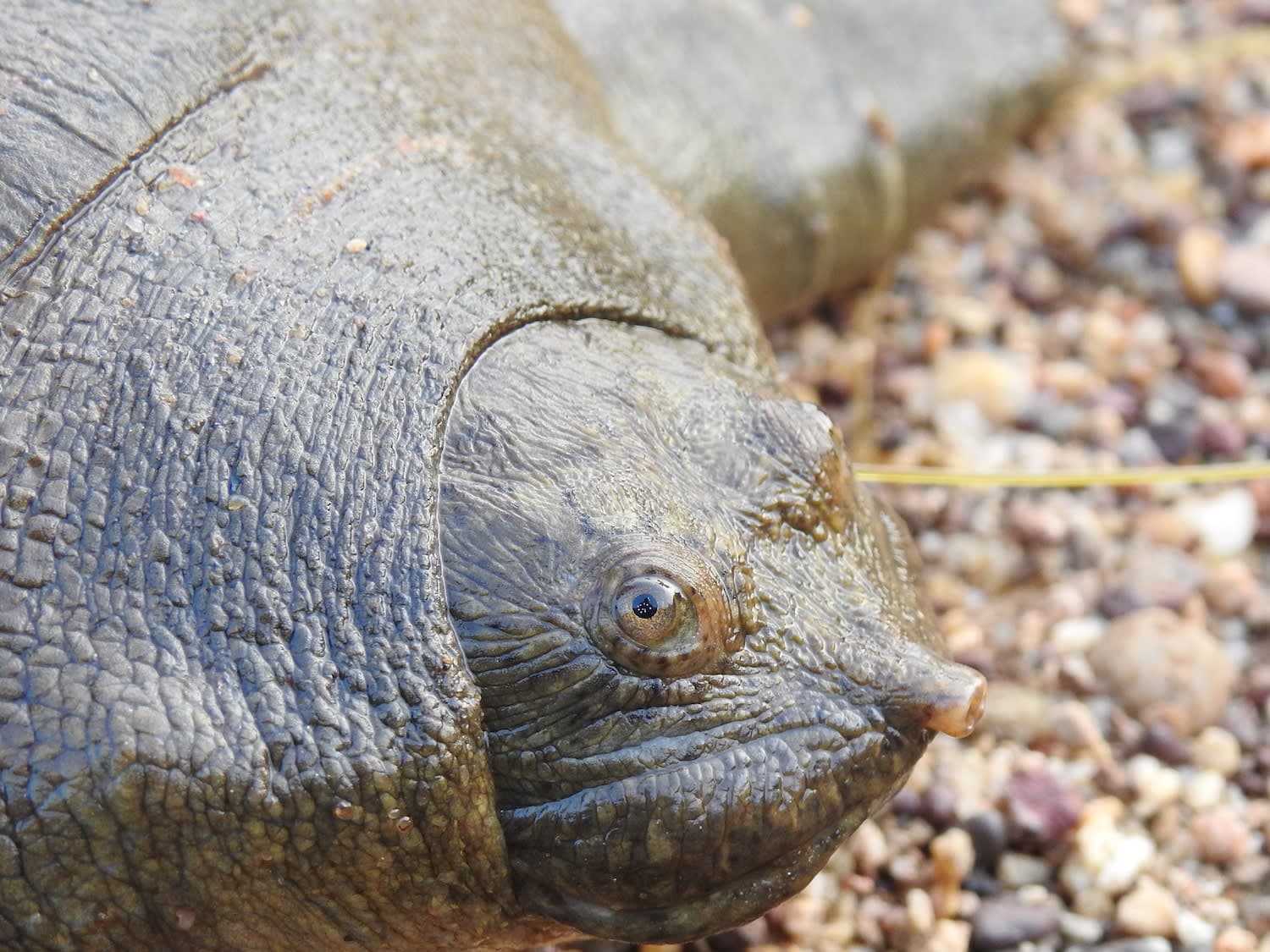 favorite_border share