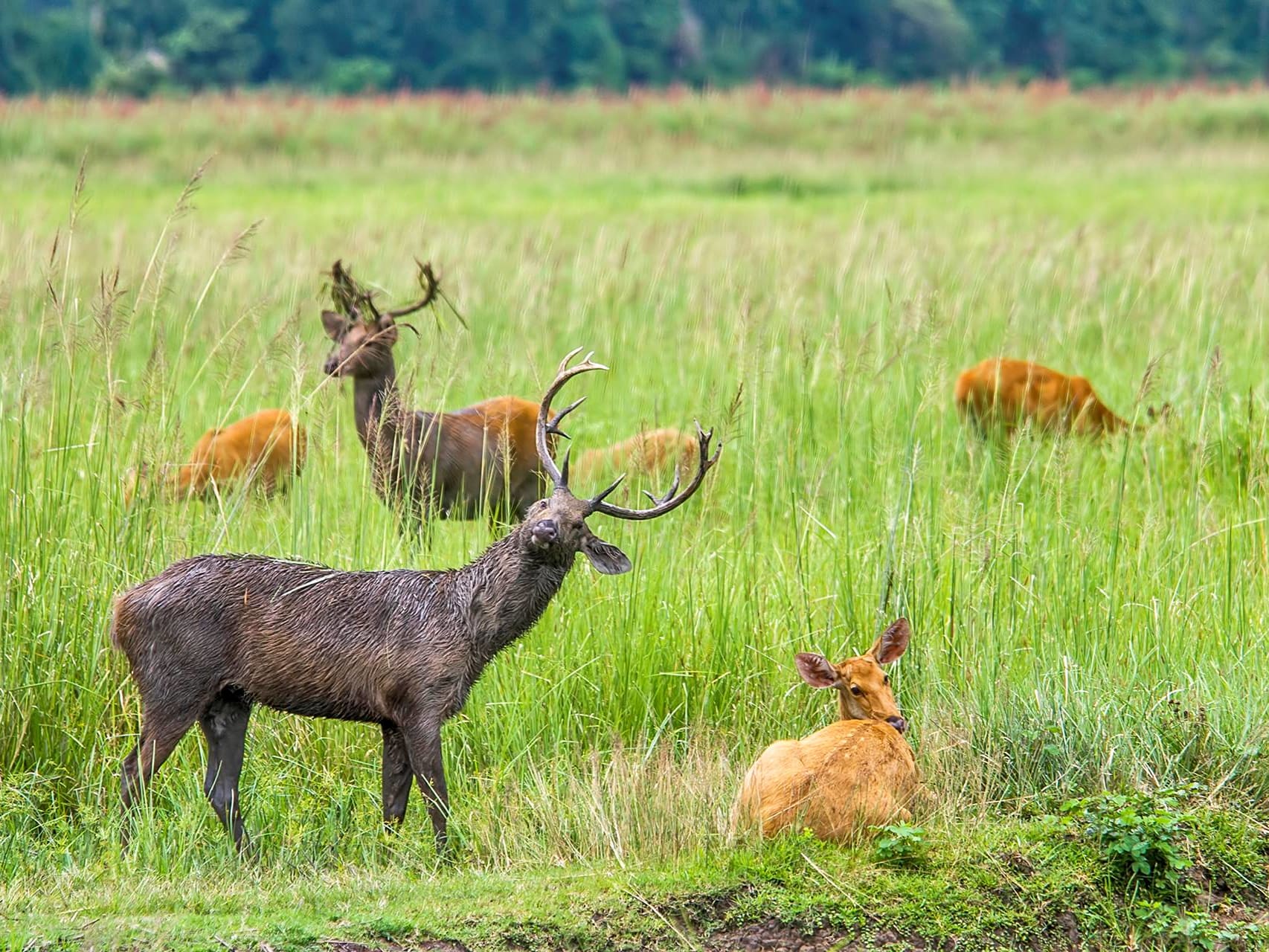 Wholistic Wellbeing for the People | RoundGlass Living