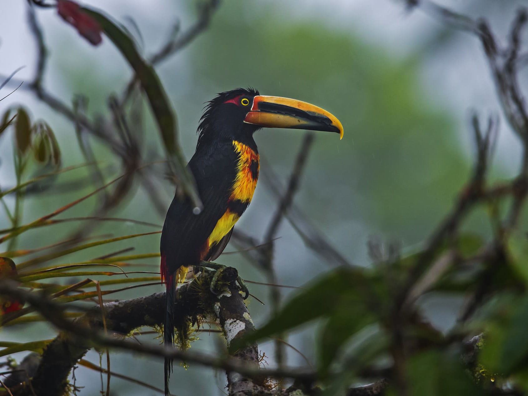 Wholistic Wellbeing for the People | RoundGlass Living