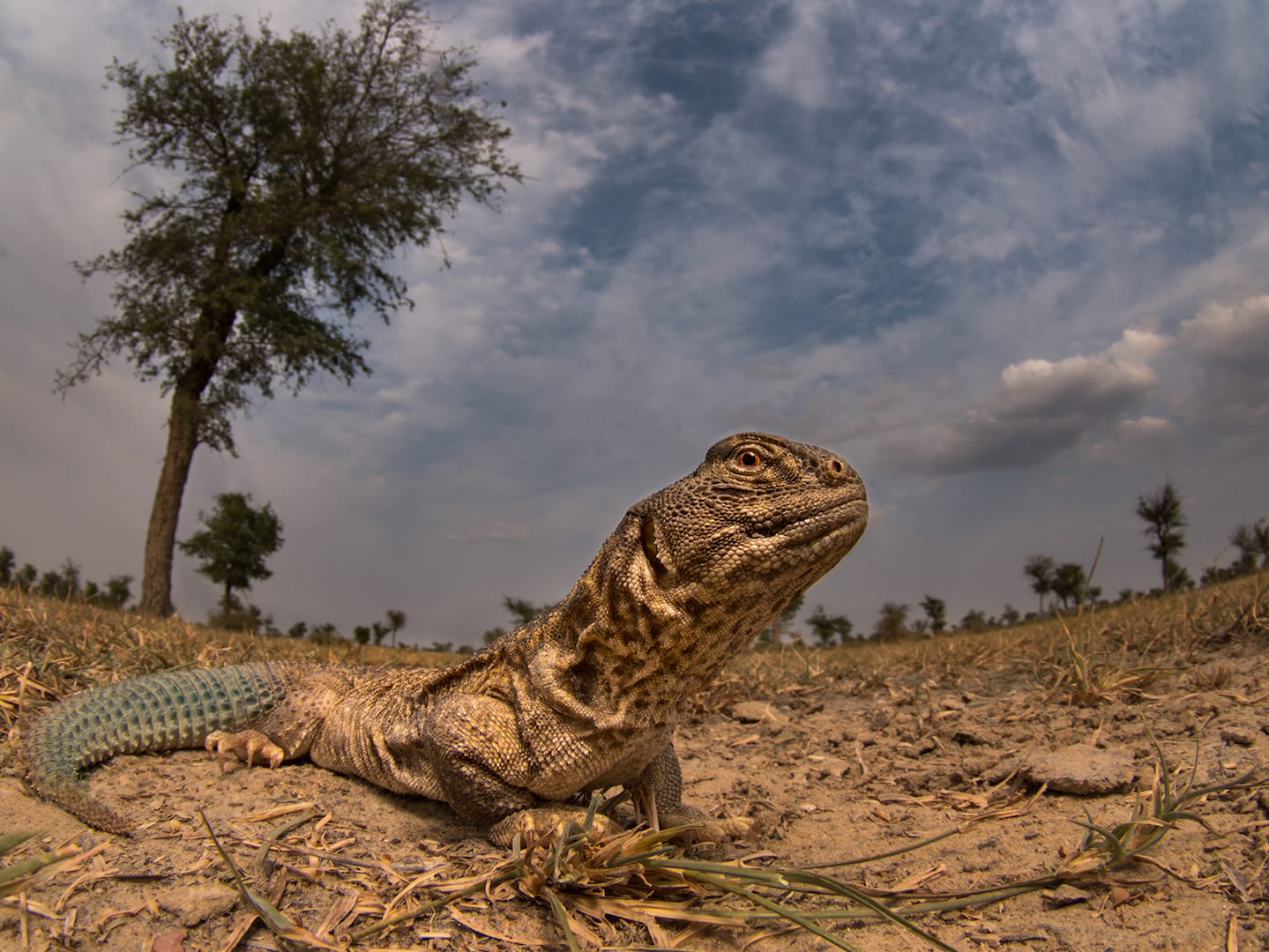 favorite_border share