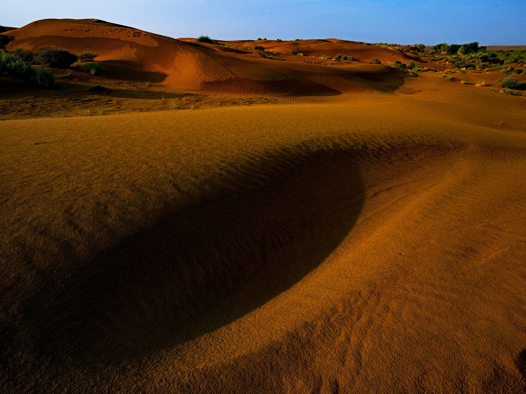 Wholistic Wellbeing for the People | RoundGlass Living