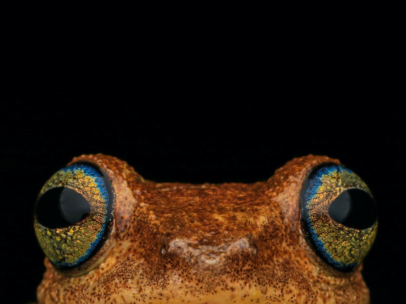 Wholistic Wellbeing for the People | RoundGlass Living