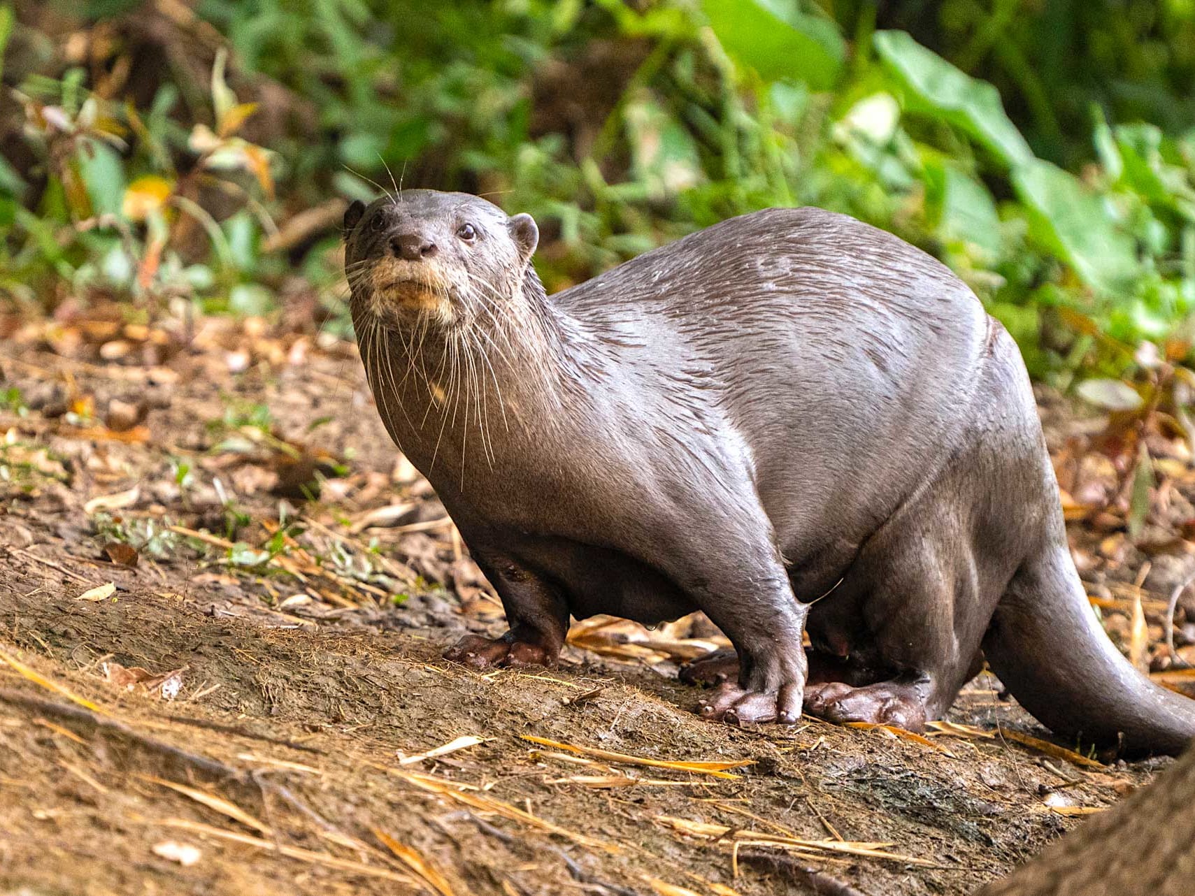 Wholistic Wellbeing for the People | RoundGlass Living