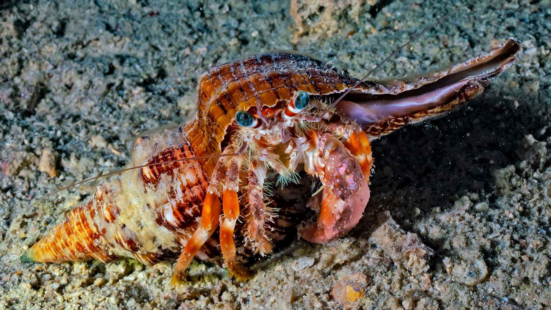 Wholistic Wellbeing for the People | RoundGlass Living