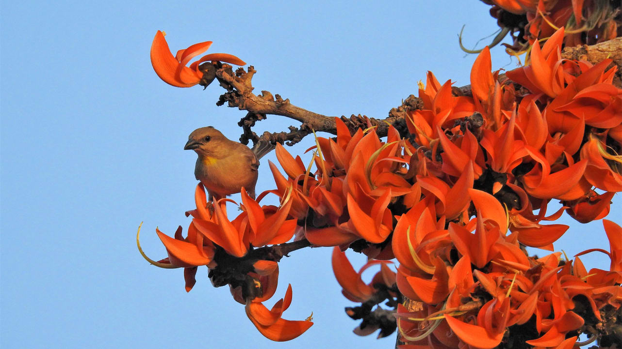 favorite_border share