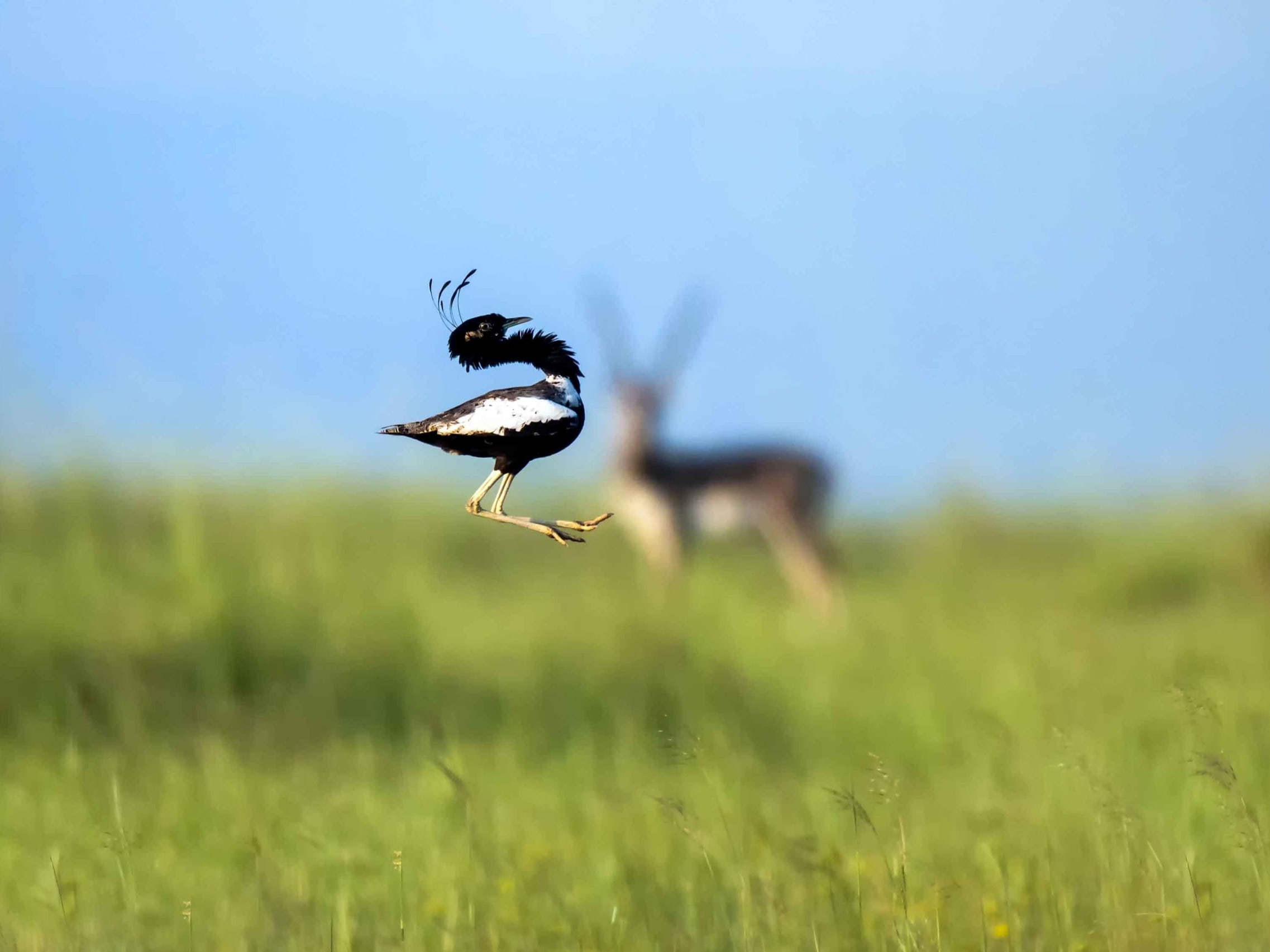 Wholistic Wellbeing for the People | RoundGlass Living