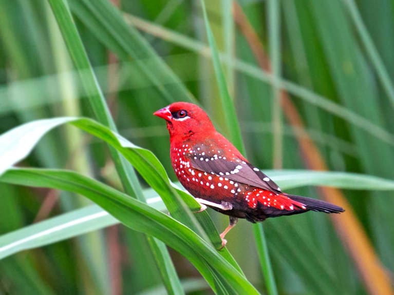 Wholistic Wellbeing for the People | RoundGlass Living