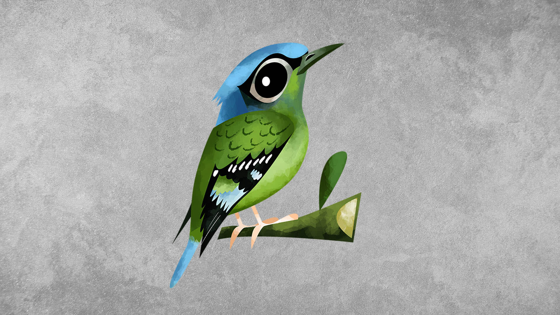 All about Green cochoa | Roundglass | Sustain