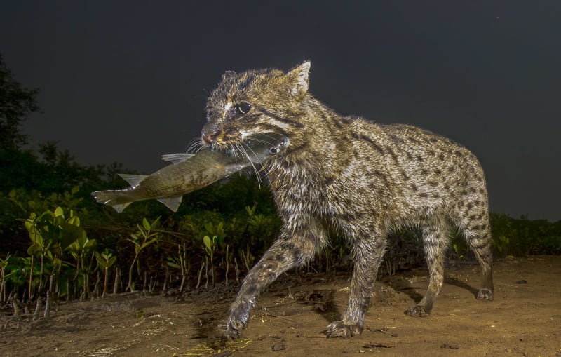 Wholistic Wellbeing for the People | RoundGlass Living