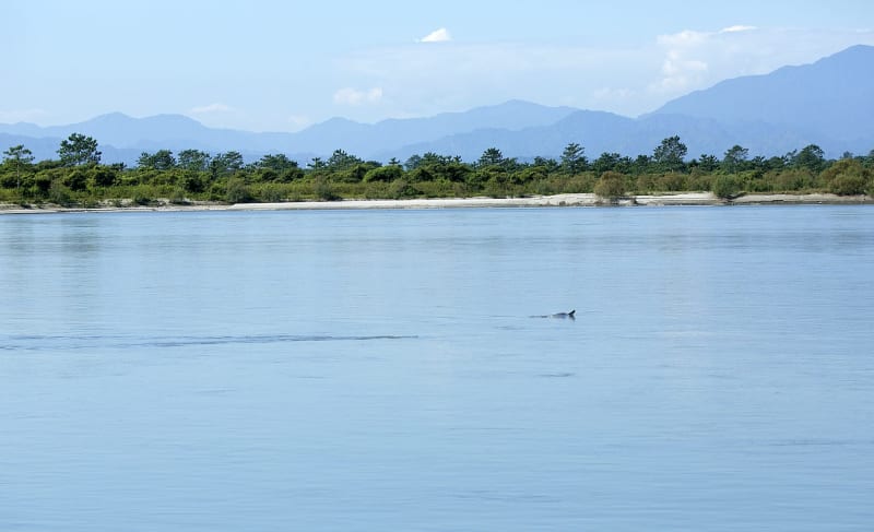 In the exquisite riverine grasslands of this wildlife sanctuary in ...