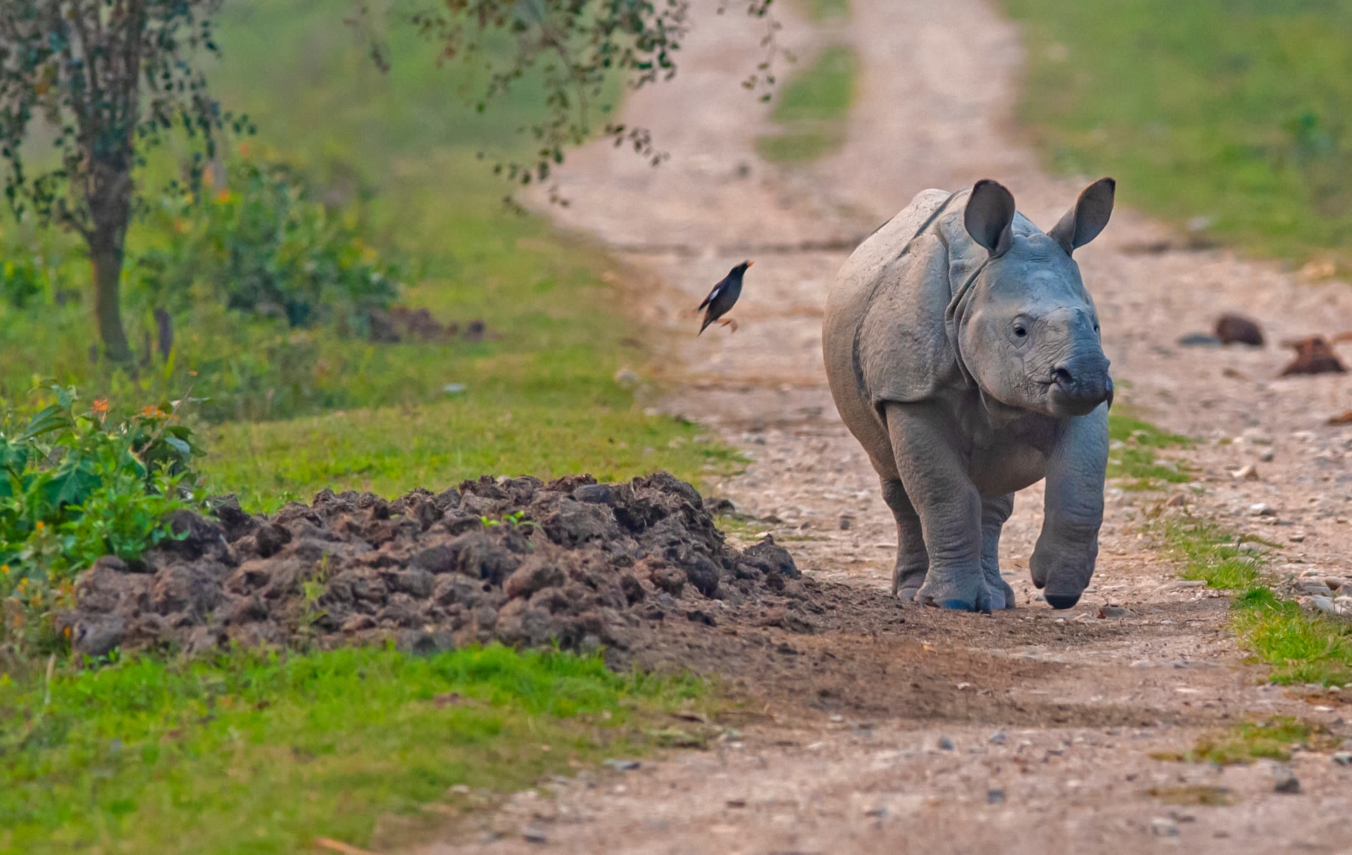 favorite_border share