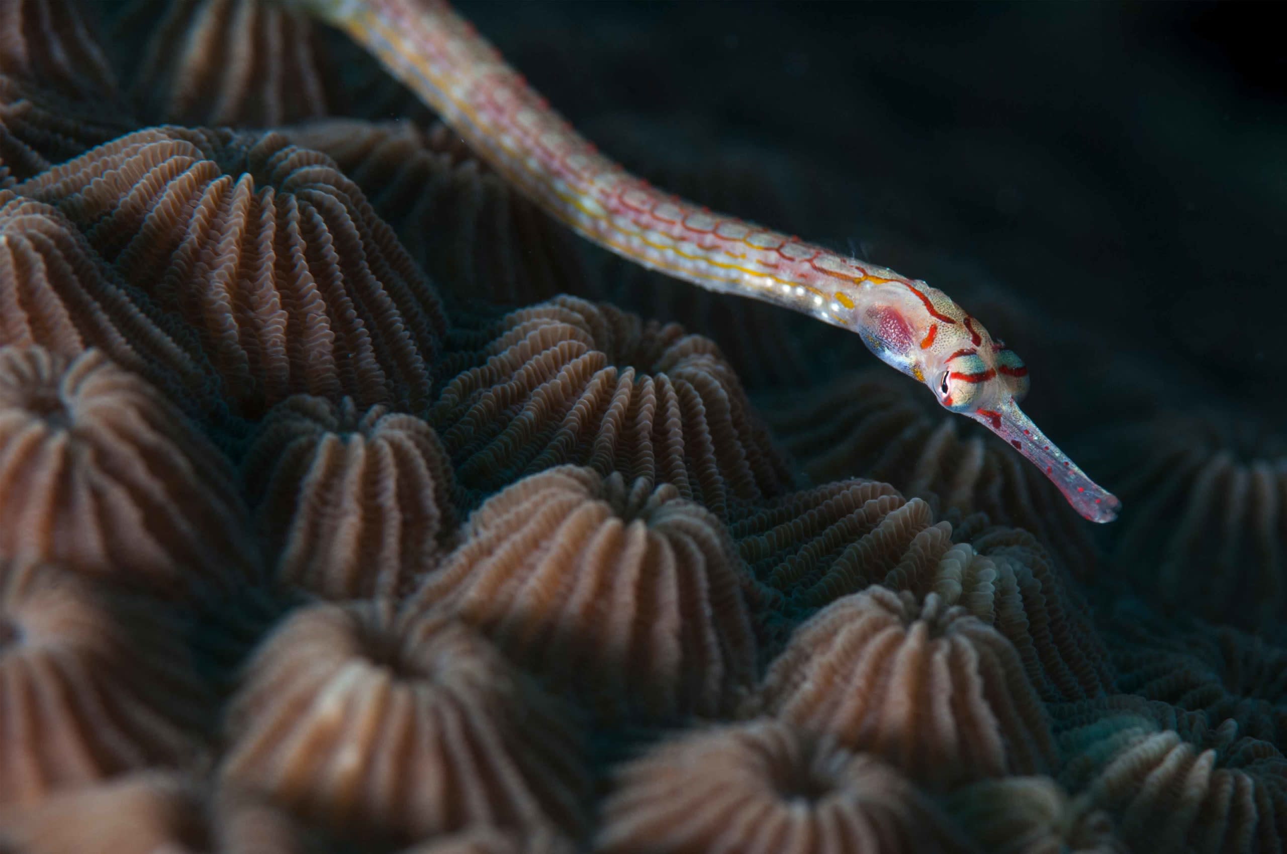 favorite_border share