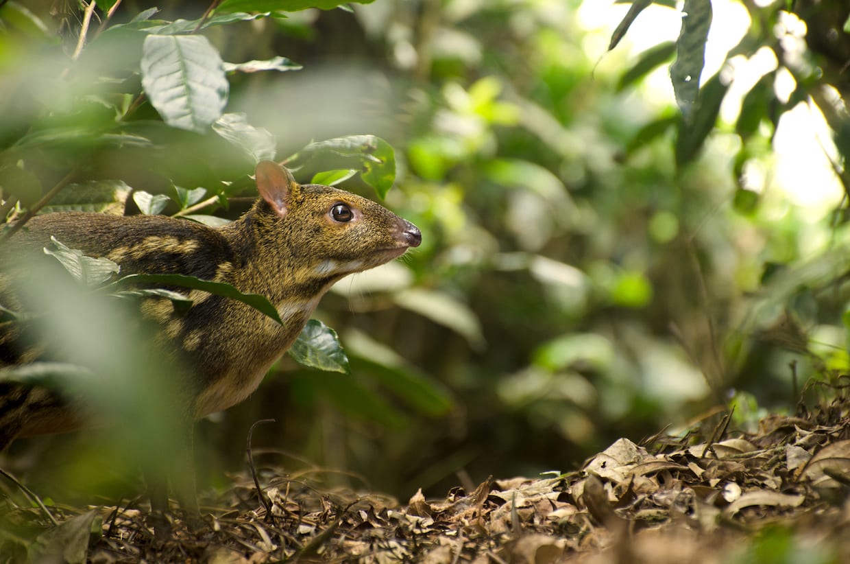 Wholistic Wellbeing for the People | RoundGlass Living