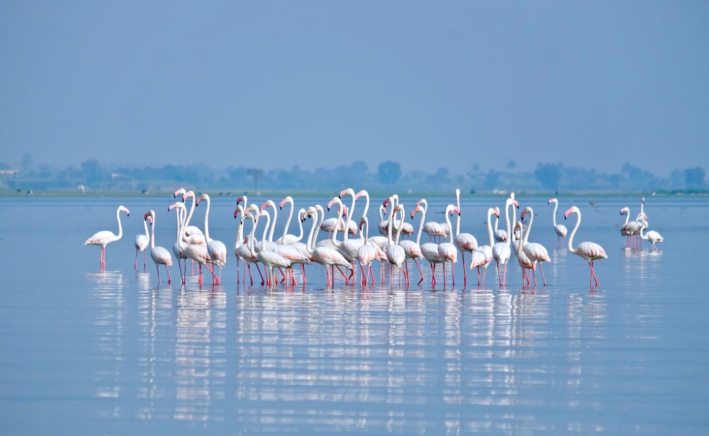 favorite_border share