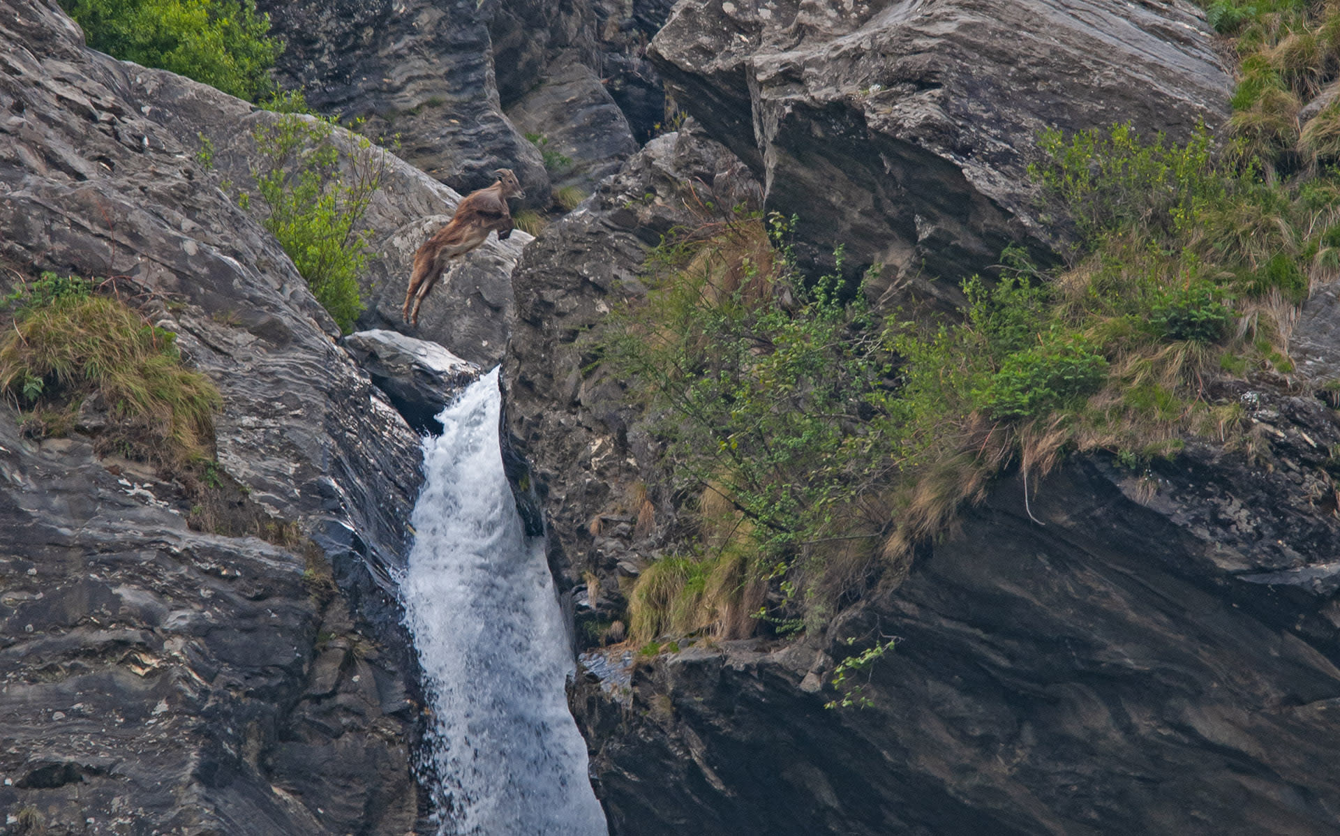 favorite_border share