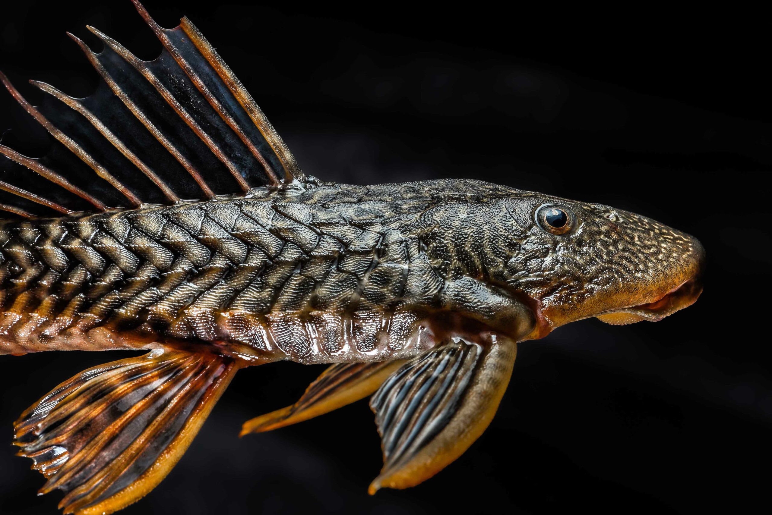 Wholistic Wellbeing for the People | RoundGlass Living