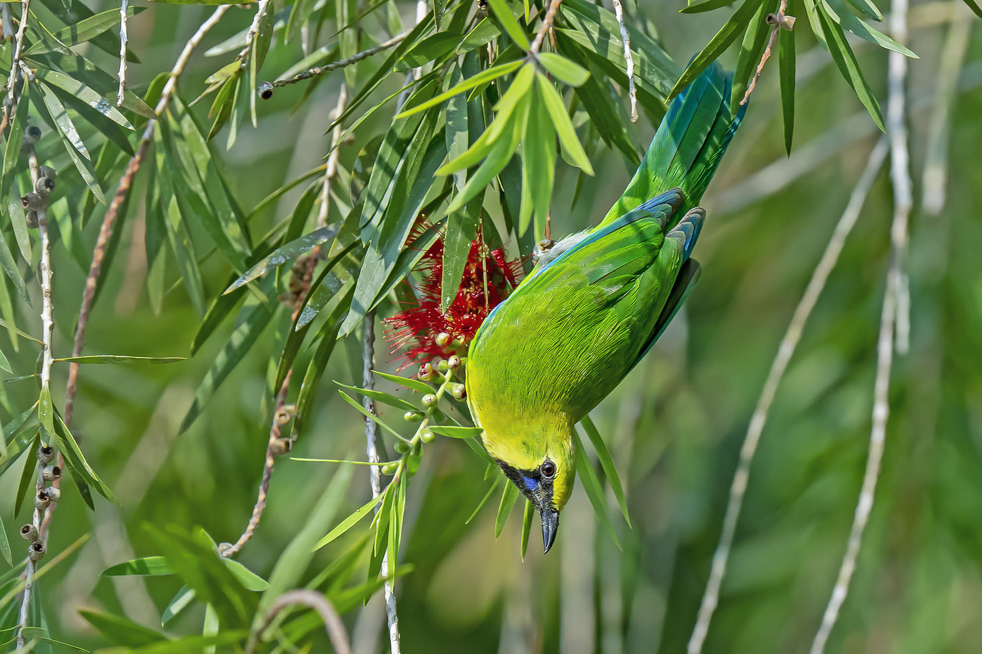 Wholistic Wellbeing for the People | RoundGlass Living