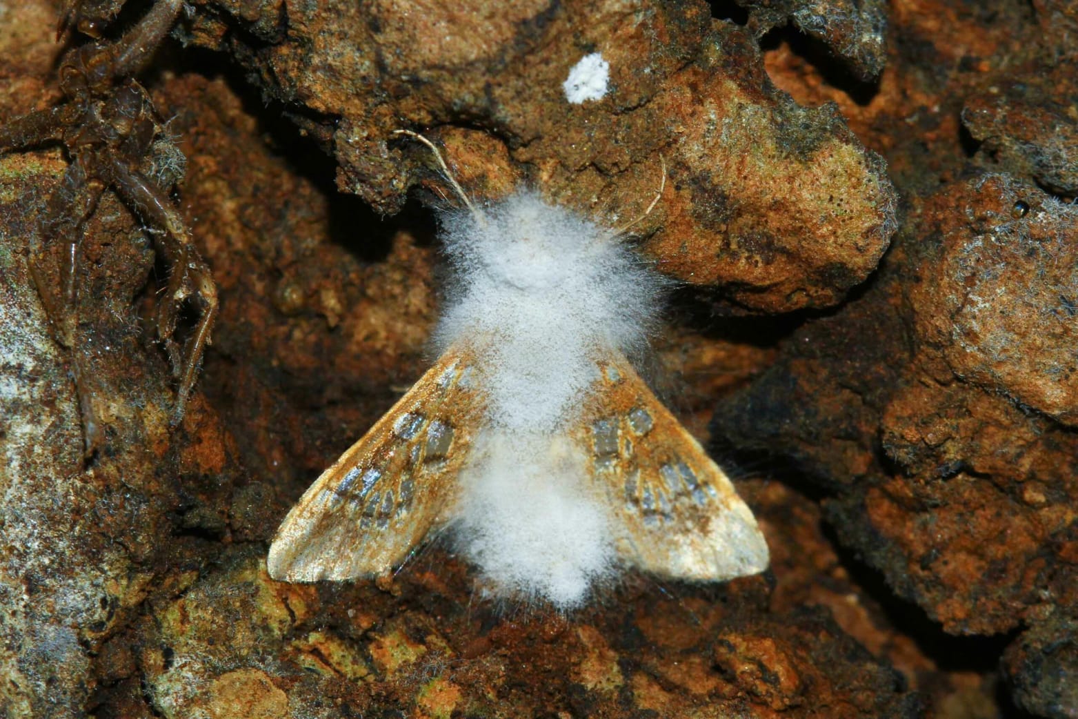 Wholistic Wellbeing for the People | RoundGlass Living