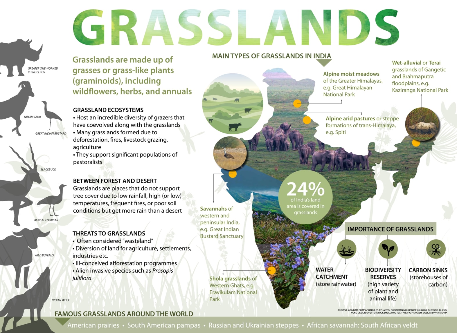 Grasslands Importance Types Threats Roundglass Sustain