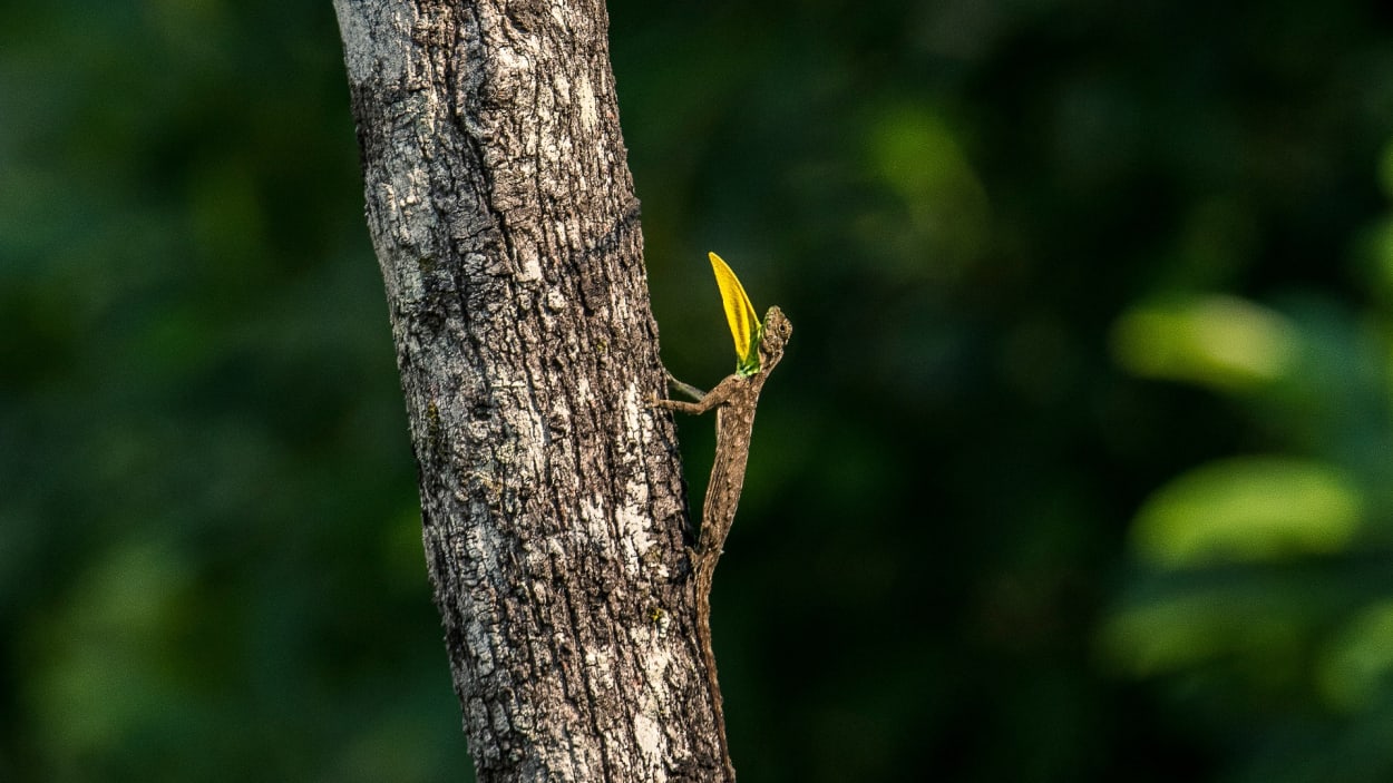 Wholistic Wellbeing for the People | RoundGlass Living