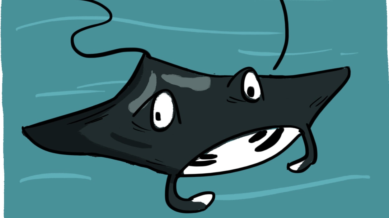 The Ray Needs a Ray of Hope