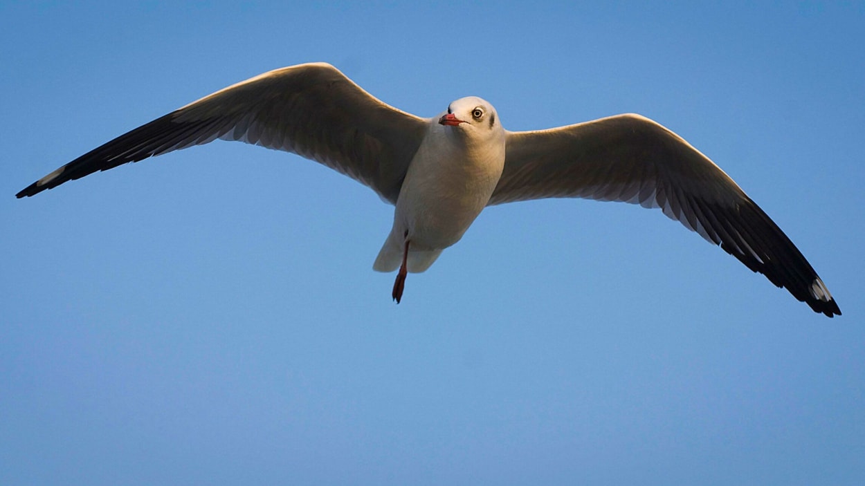 Wholistic Wellbeing for the People | RoundGlass Living