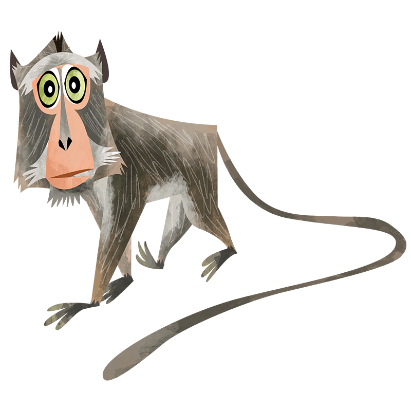 Wholistic Wellbeing for the People | RoundGlass Living