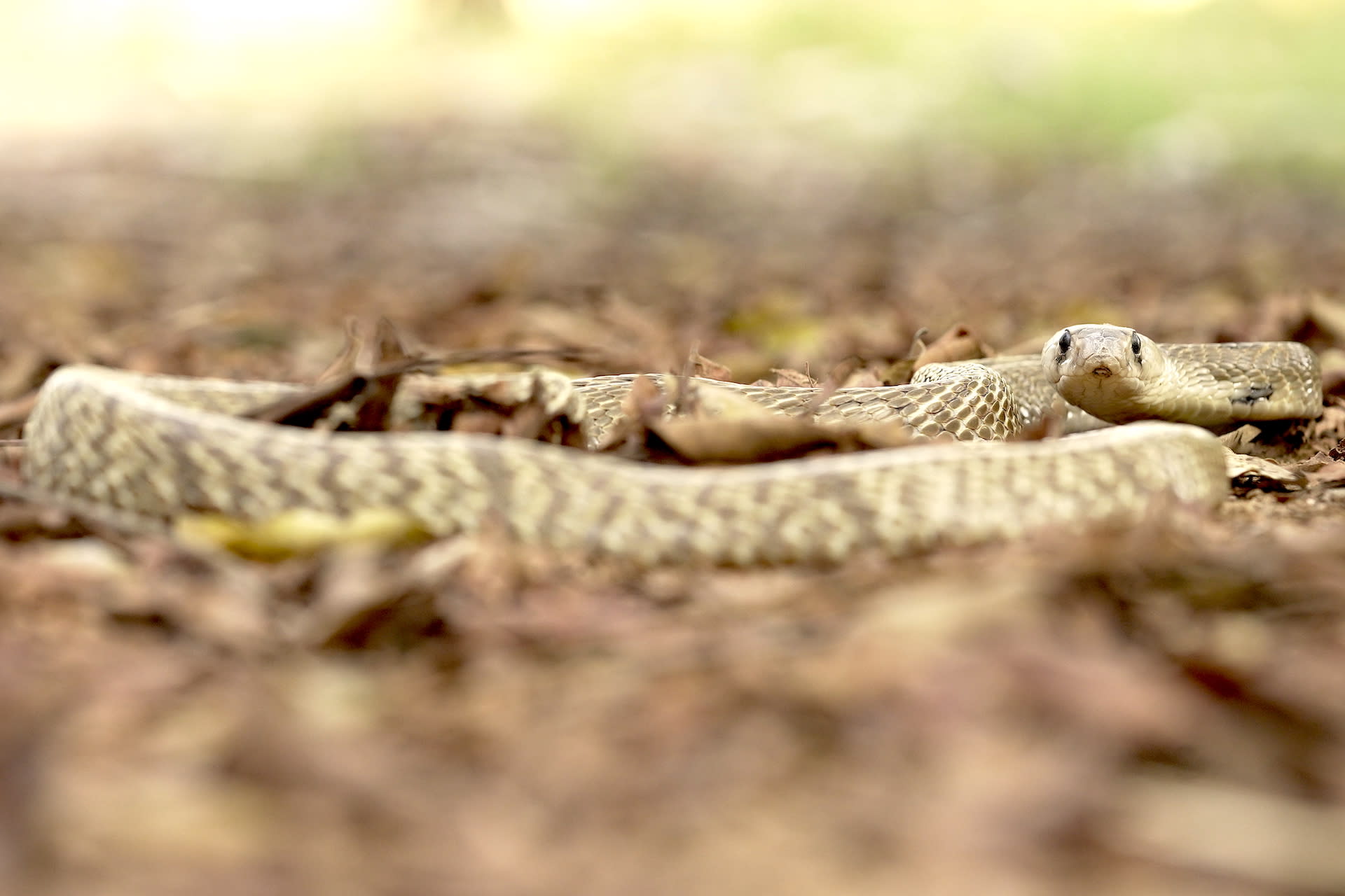 Wholistic Wellbeing for the People | RoundGlass Living