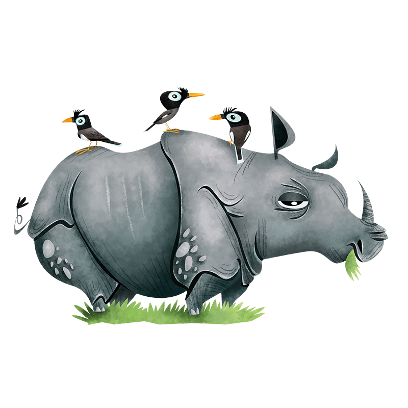 Greater one-horned rhinoceros