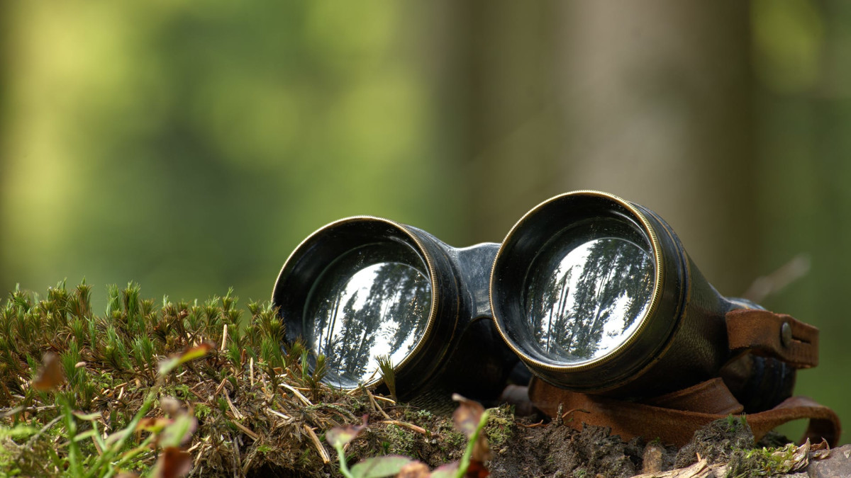 Observation as an Antidote to Intolerance