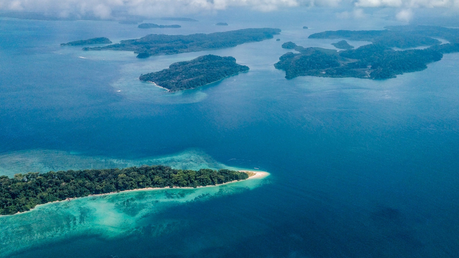 Explore India's Wildlife and its Habitats | Roundglass | Sustain