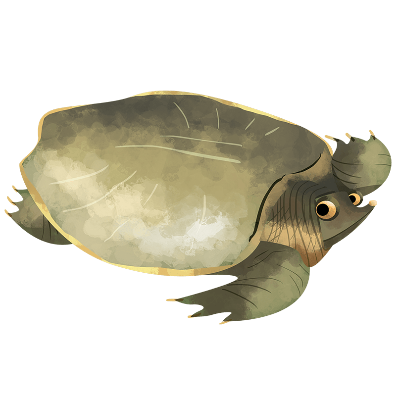 Trivia and Fun Facts on Indian Species | Roundglass | Sustain