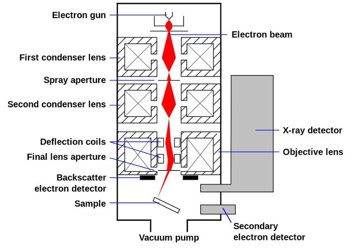Scanning Electron Microscope Ray Diagram