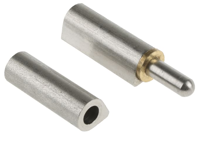 Pinet | Pinet Stainless Steel Bullet Hinge, Weld-on Fixing, 100mm x ...