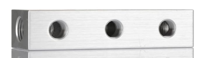 3313 10 13 03 Legris | Legris 3313 6 Outlet Manifold, G 1/4 G 1/8 | 431 ...