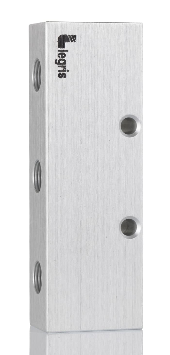 3313 10 13 03 Legris | Legris 3313 6 Outlet Manifold, G 1/4 G 1/8 | 431 ...