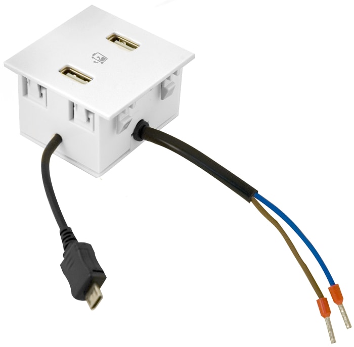 RS PRO | RS PRO Double Gang 2 Way Female USB Faceplate | 124-2519 | RS ...