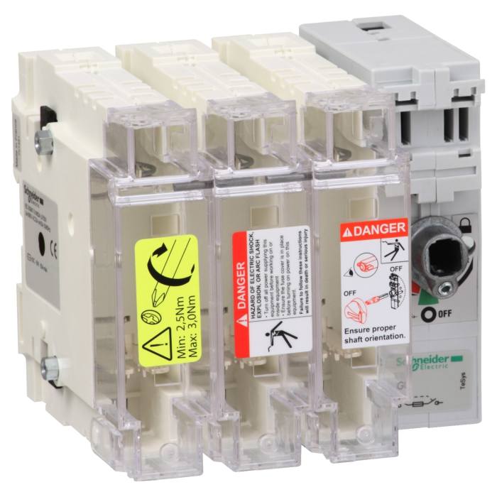 GS2G3 Schneider Electric | Schneider Electric Fuse Switch Disconnector ...