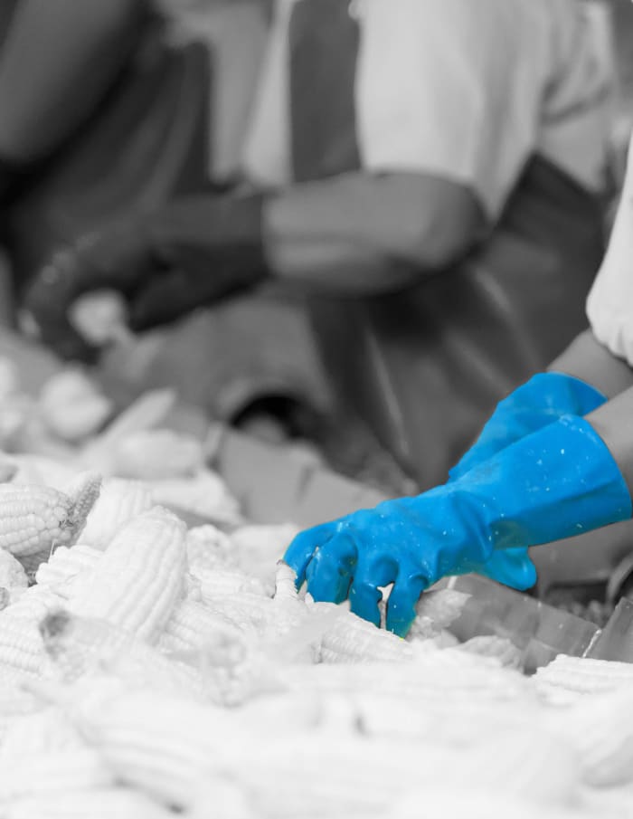 91 - XL Polyco Healthline | Polyco Healthline Blue Nitrile Disposable ...