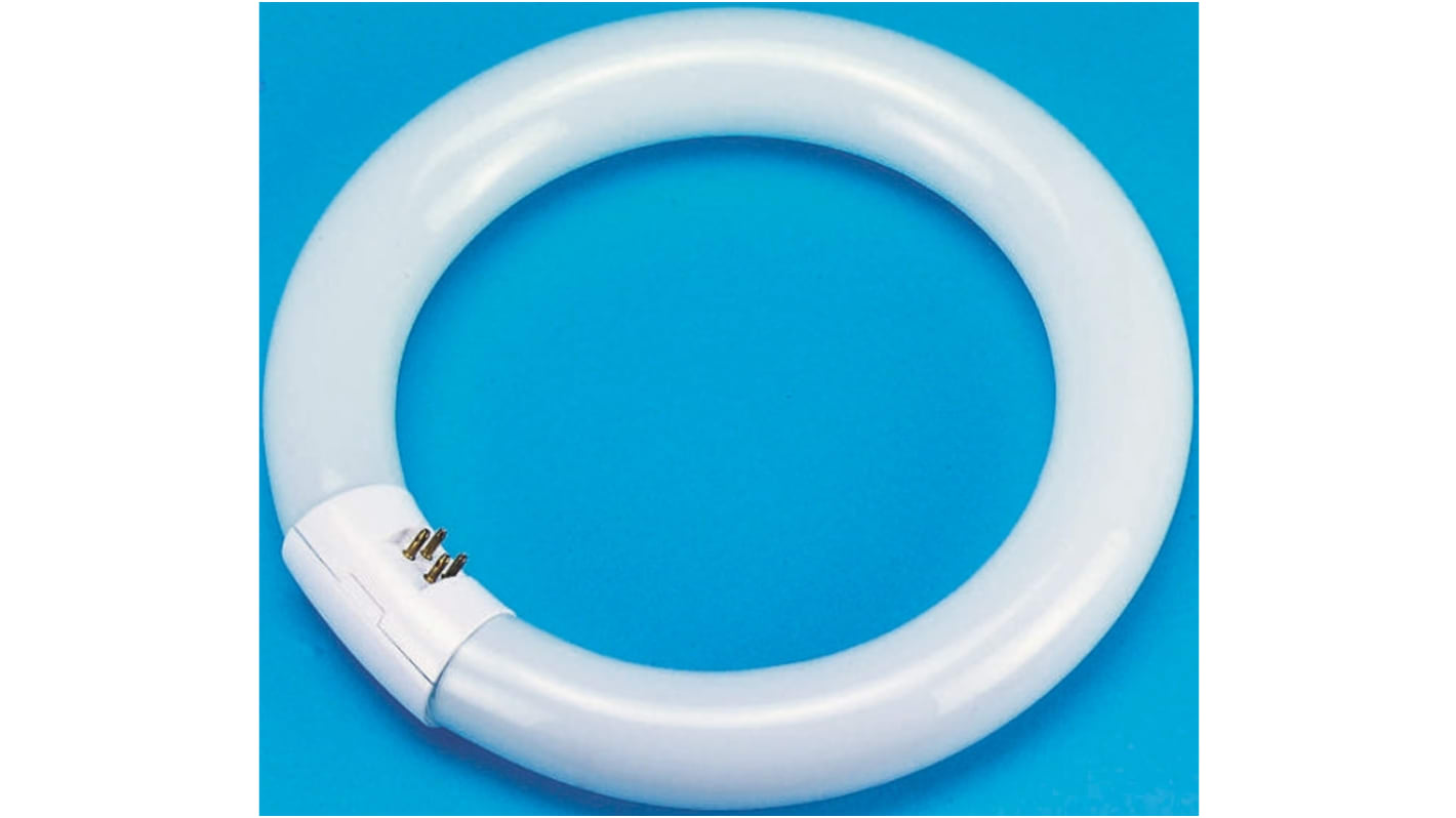 TLE4029 | Circular Fluorescent Tube | RS