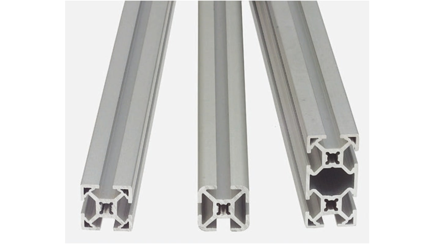 XDBM 2X44 | FlexLink Silver Aluminium Profile Strut, 44 x 44 mm, 5.6mm ...