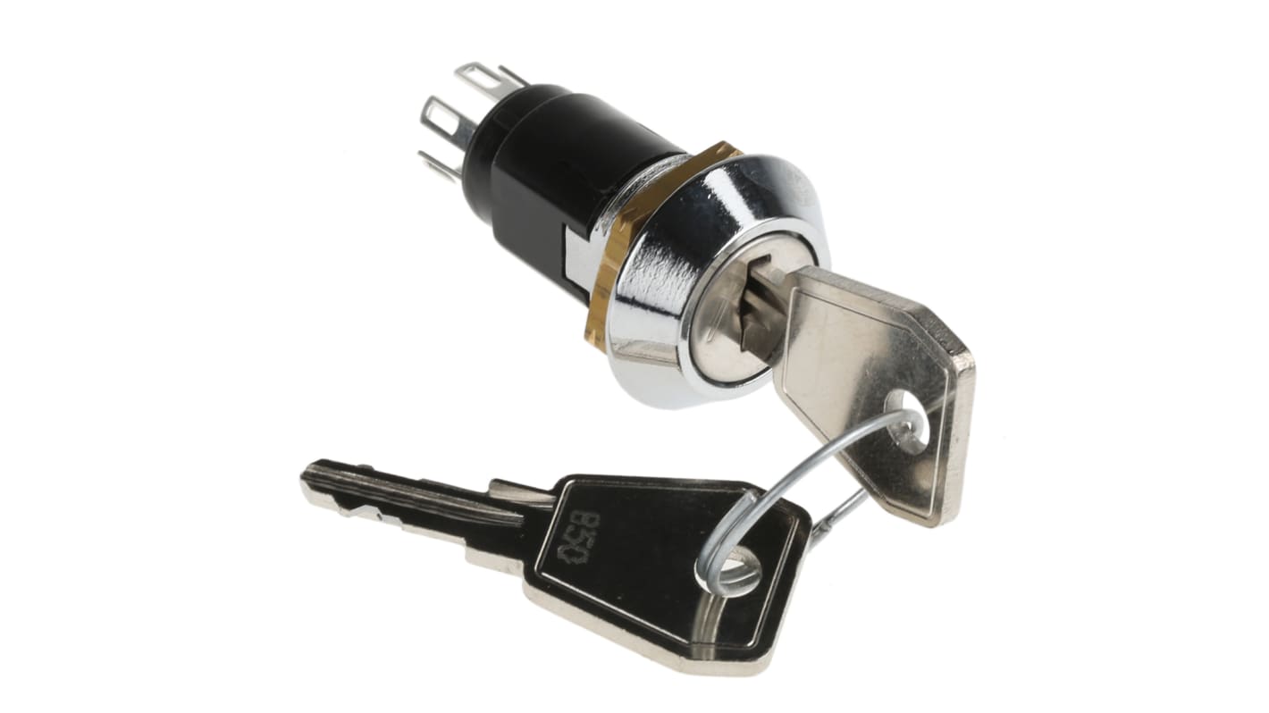 SRL5LS2850 | Key Switch, DP-CO, 1 A @ 24V ac dc / 115V ac 2-Way Common ...