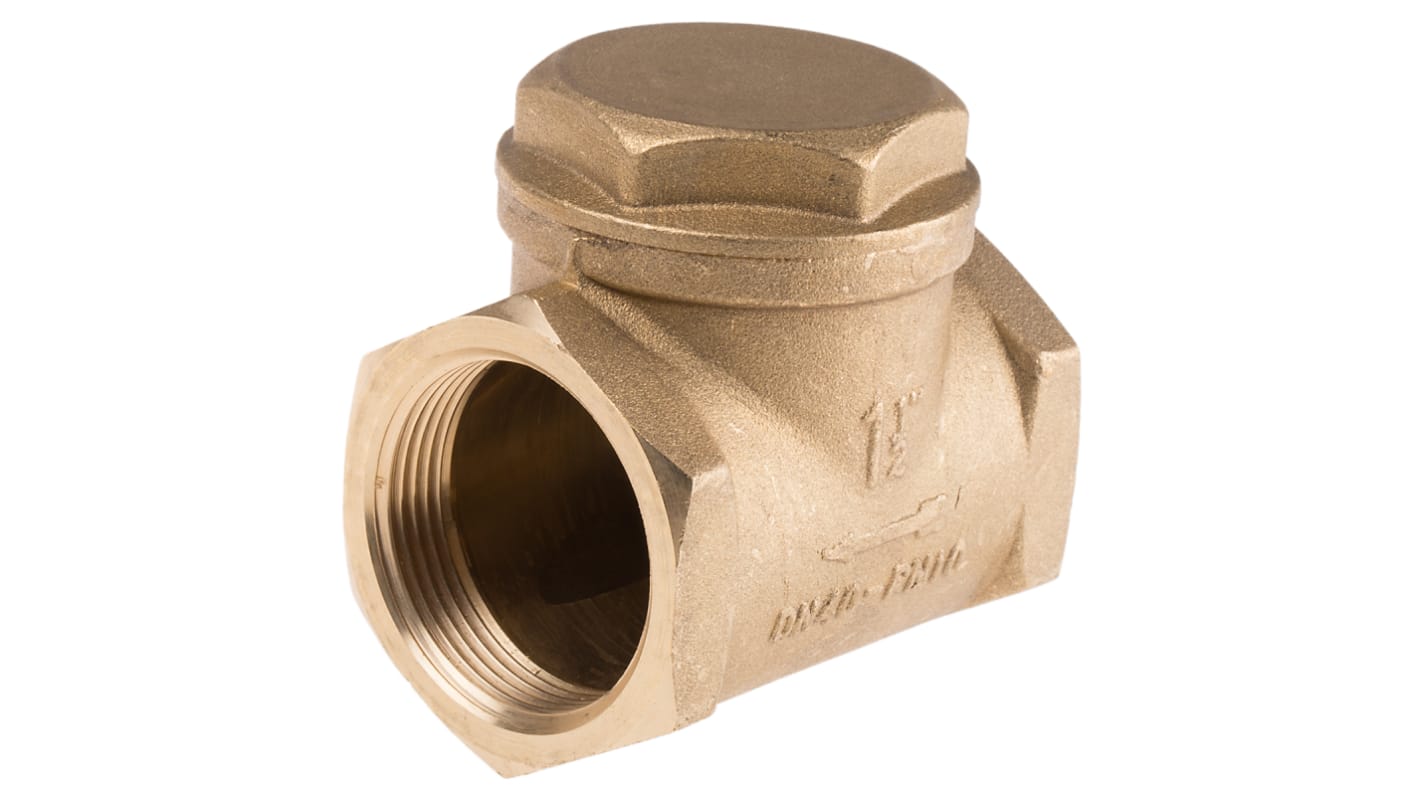 RS PRO Brass Single Check Valve, BSP 1-1/2in, 16 bar | RS