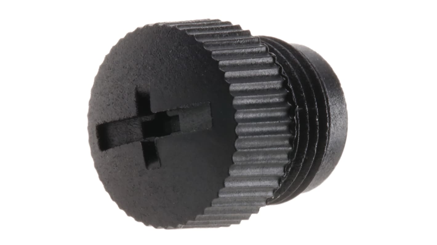 024456 | Pepperl + Fuchs | RS