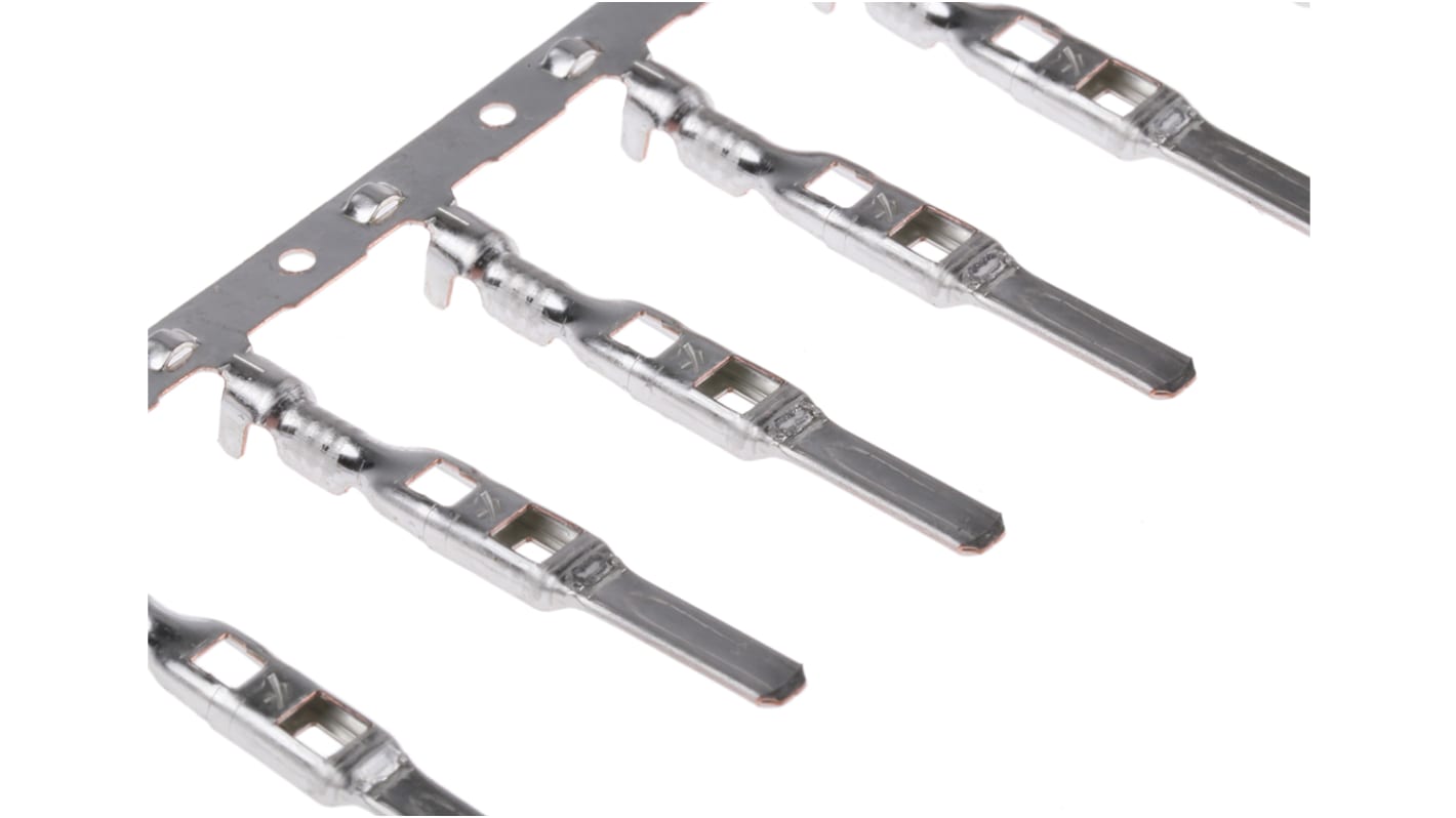 211CL3S1160 | Delphi Sicma-3 Series Male Crimp Terminal | RS