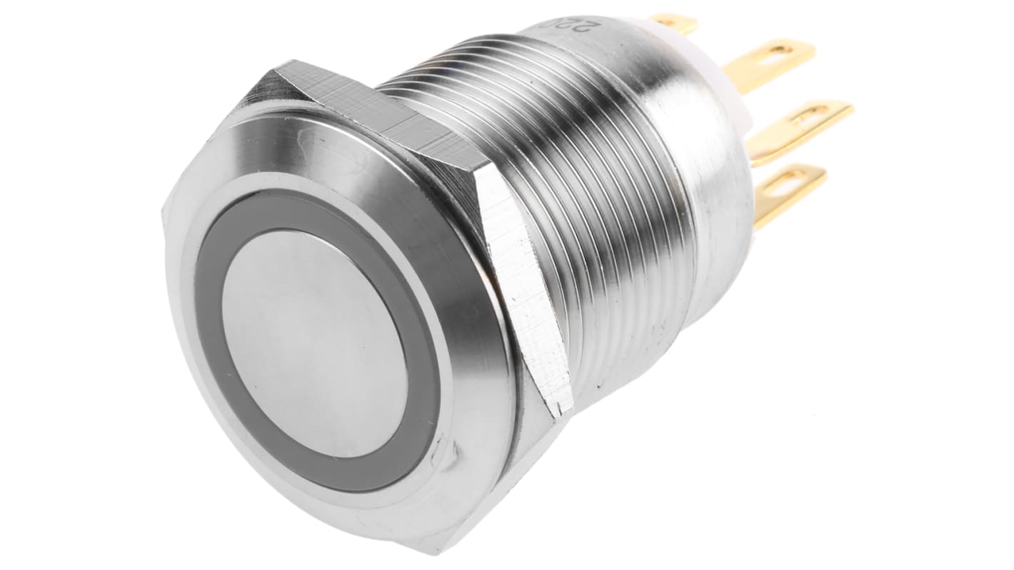 R19FFSSPAGRB220 | EOZ Illuminated Push Button Switch, Momentary, Panel ...